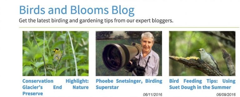 Top 40 Landscape Design and Maintenance Blogs in 2019