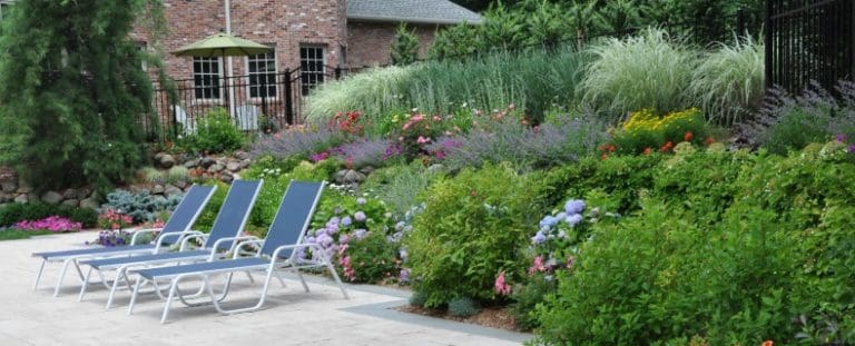 Top 20 List of Perennial Flowers for Your NJ Garden