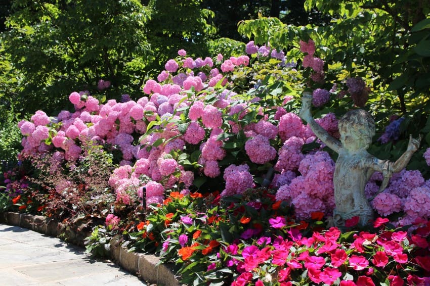 Prune Like a Pro: When to Prune Trees and Shrubs for a Healthier ...